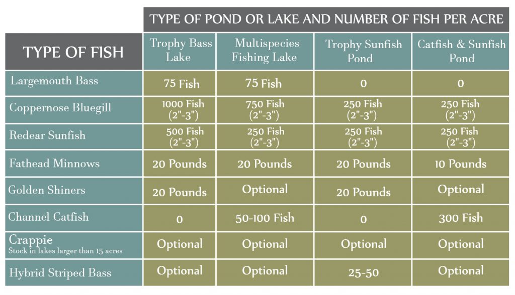 Stocking Recommendation – MyFishTruck